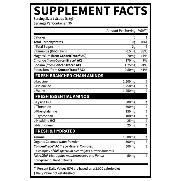 Fresh Amino – Kinetic Nutrition